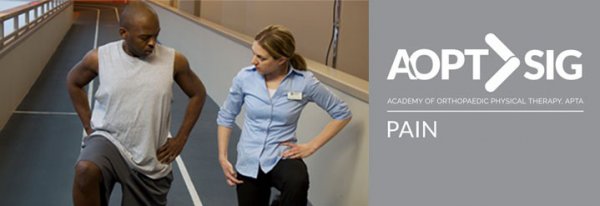 Academy of Orthopaedic Physical Therapy