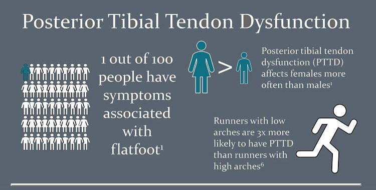 Academy of Orthopaedic Physical Therapy (AOPT)