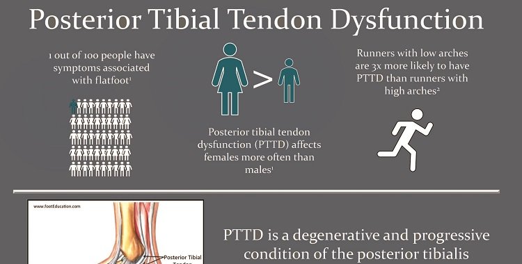 Academy of Orthopaedic Physical Therapy (AOPT)