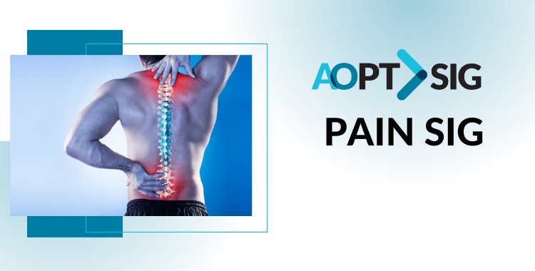 Special Interest Groups - Academy of Orthopaedic Physical Therapy (AOPT)