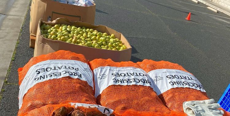 CSM 2023 - Take a Look! - Academy of Orthopaedic Physical Therapy (AOPT)