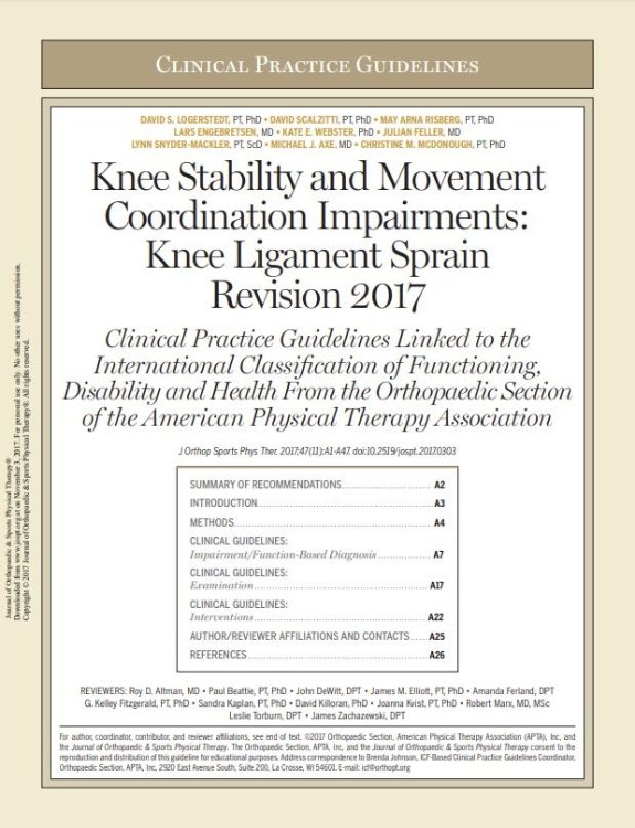 Knee Stability and Movement Coordination Impairments: Knee Ligament ...